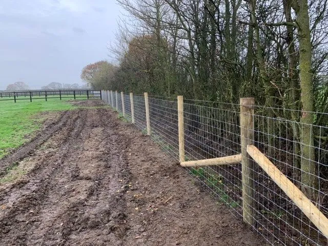 Fence Line Clearing in Austin, TX | Pierce Land Clearing